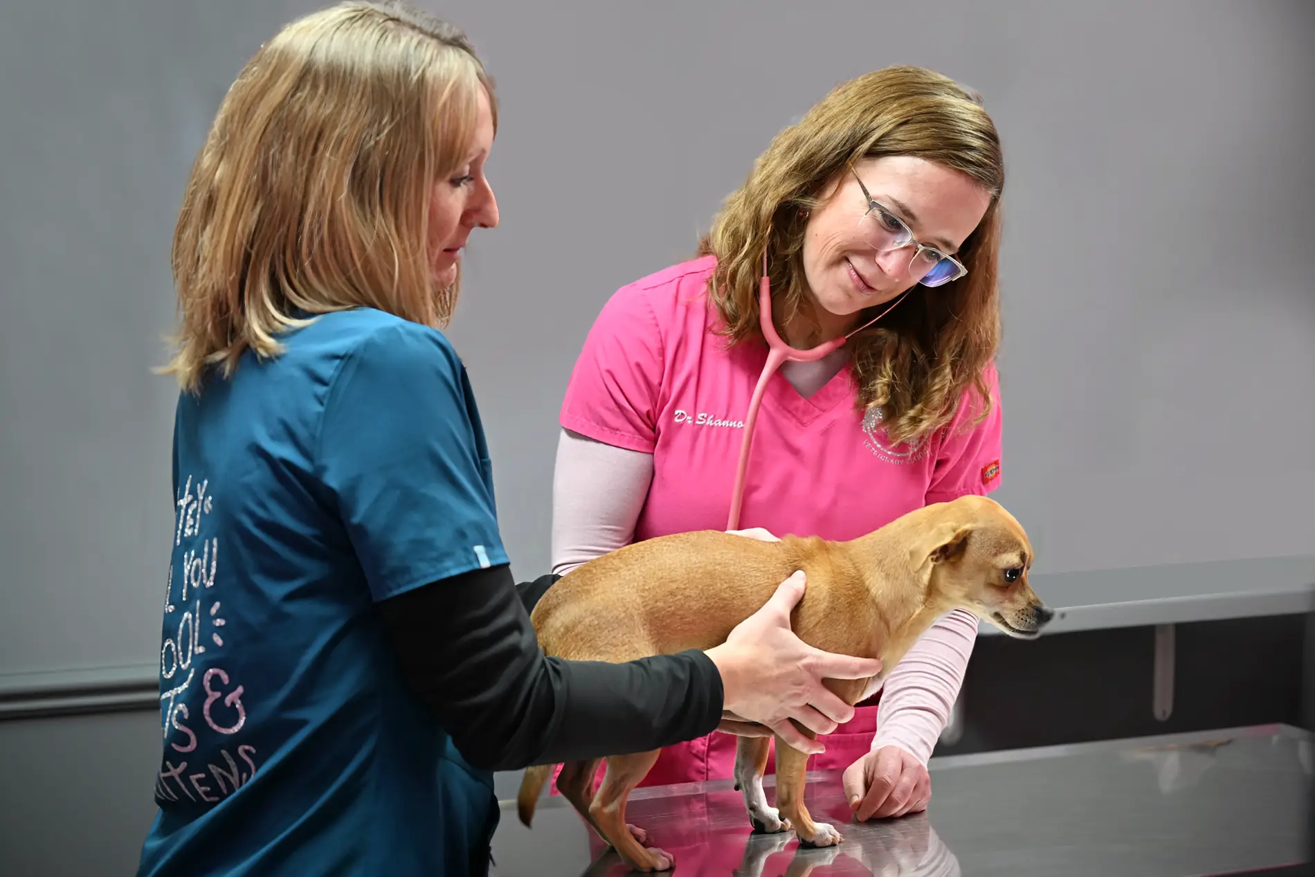 Hartland Veterinary Clinic in Woodstock IL